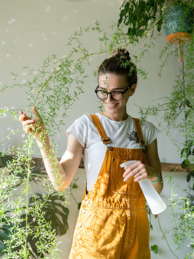 Micos na decoração: Aprenda o que pode ou não pode | Sonhar e Morar